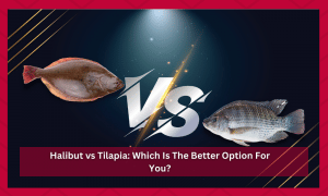 Halibut vs Tilapia: What's The Difference - FuncFish