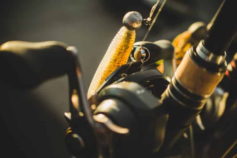 Shimano Beastmaster 9000 vs 9000A - Which Feature Is Better? - FuncFish