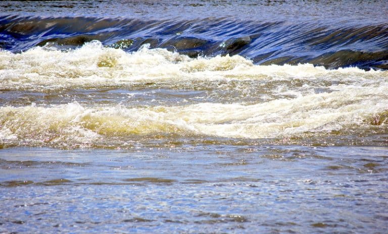 How To Catch Snapper Bluefish? (Beginner's Guide) - FuncFish