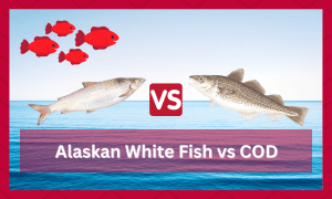 Alaskan White Fish vs Pacific Cod Fish (Comparison With Table) - FuncFish