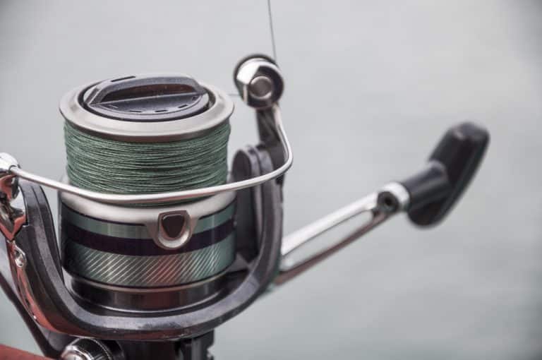 Bail Not Closing On Spinning Reel? Try These 3 Solutions - FuncFish
