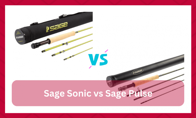 Sage Sonic vs Pulse Fly Rods (Beginner's Guide) - FuncFish