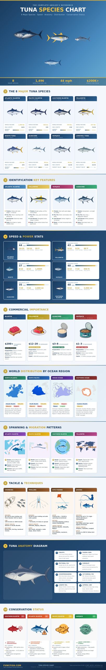 Tuna Species Chart - FuncFish